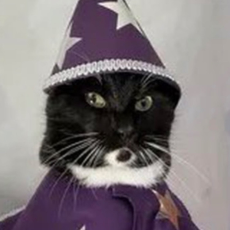 Иконка канала Гадания на Таро Алексея Н.