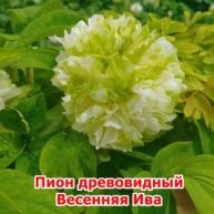 Иконка канала Садоводы 63pokupki.ru