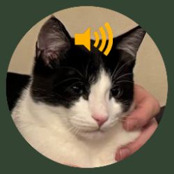 Иконка канала Dudod1n