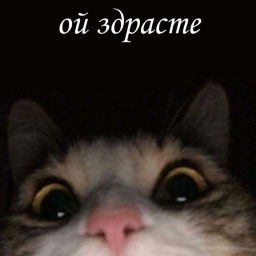 Иконка канала Supik