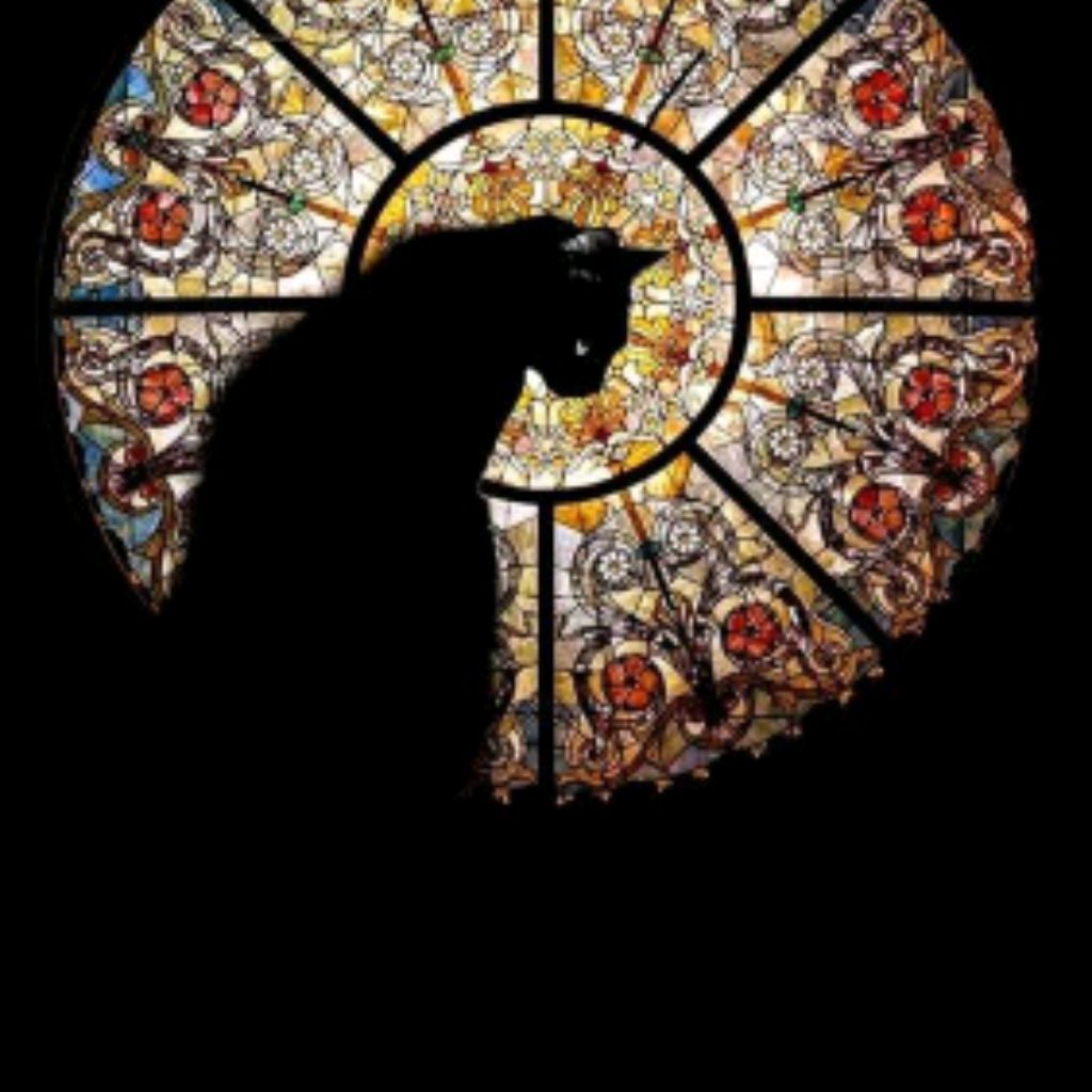 Иконка канала Светлана Медведева