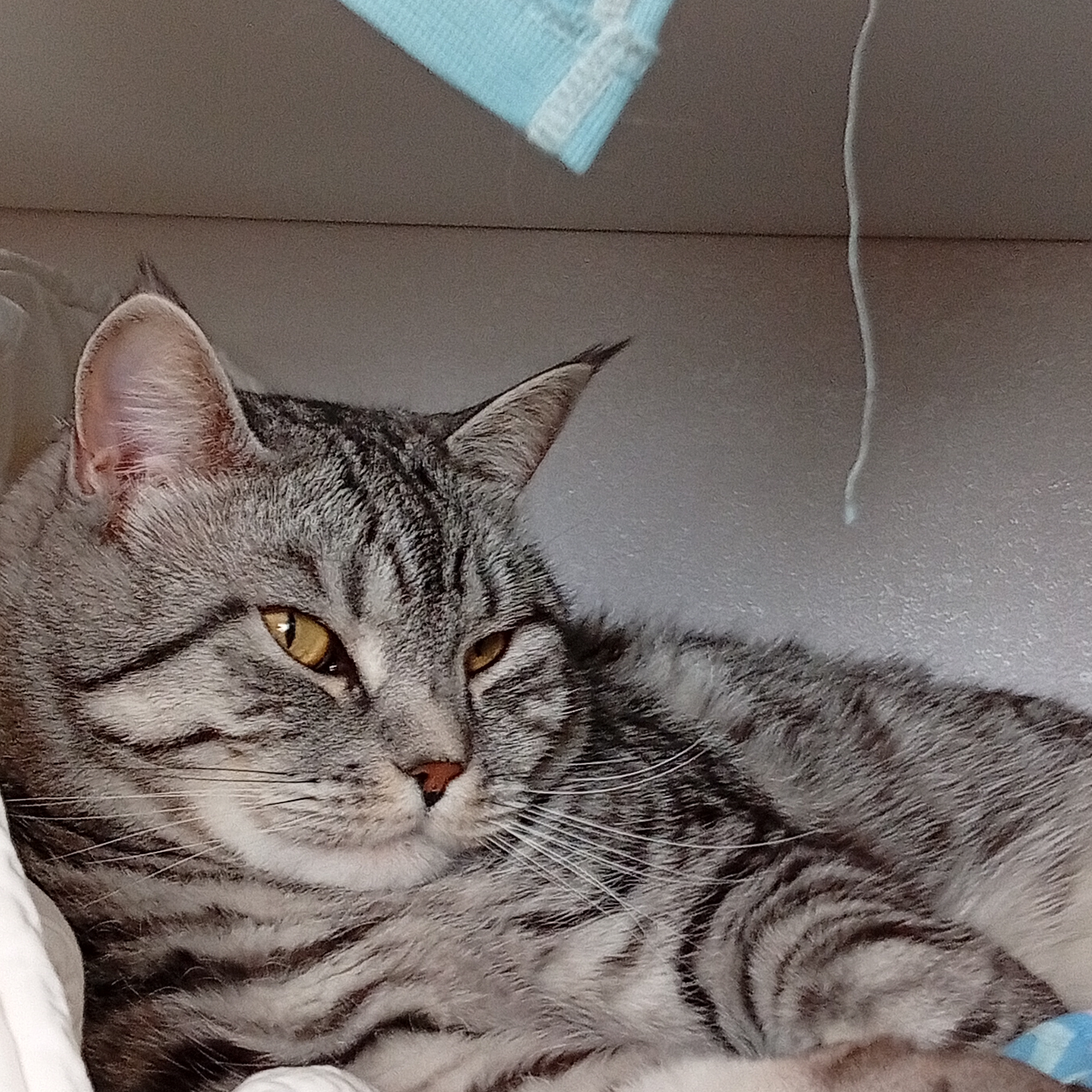 Иконка канала Владислав Алексеев Сергеевич