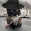 Иконка канала channel76406604