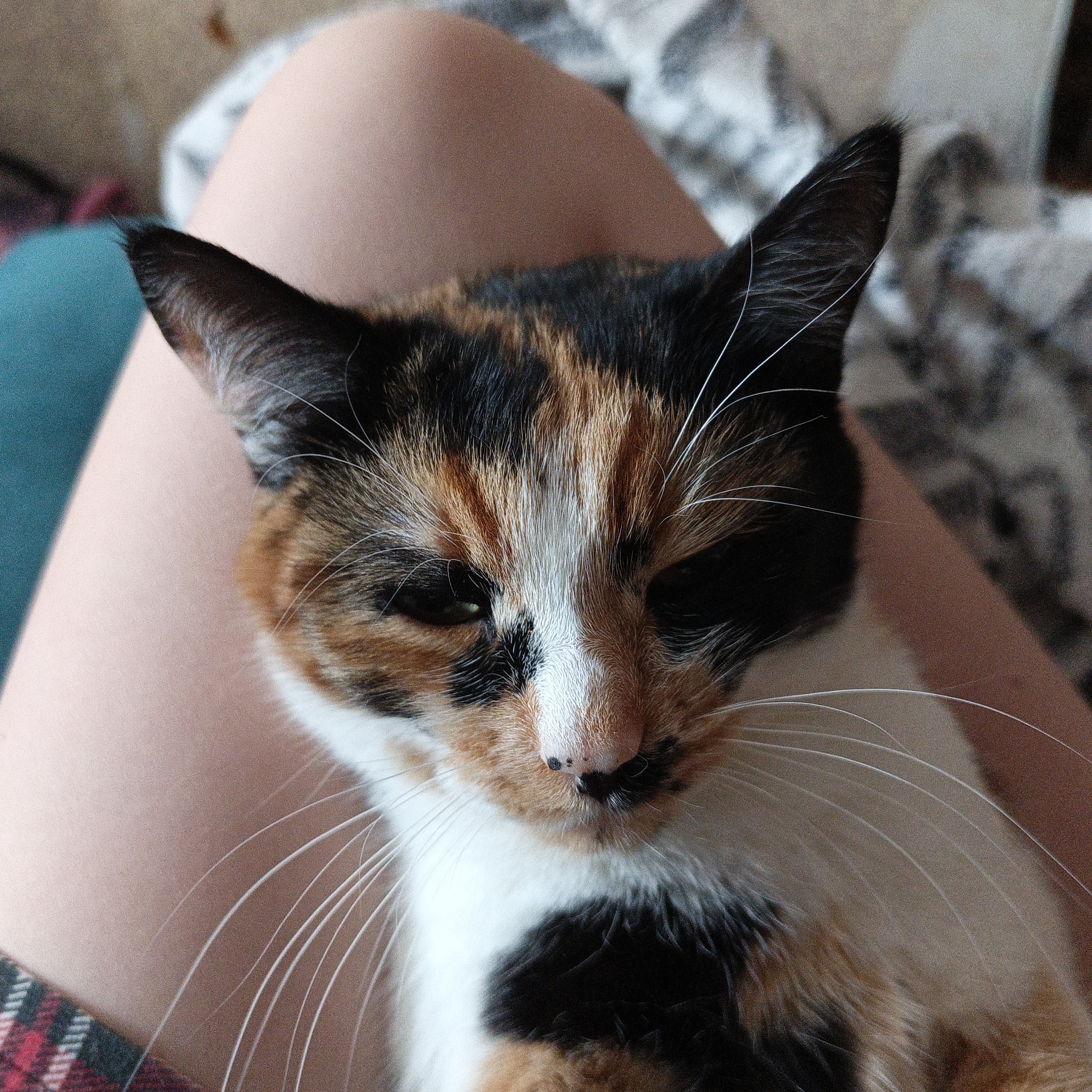 Иконка канала Ева Лайк