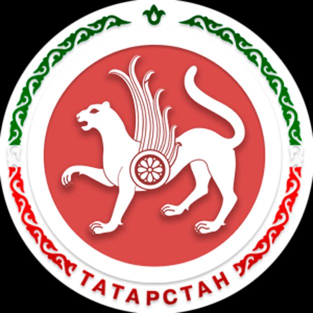 Иконка канала B2B Tatarstan