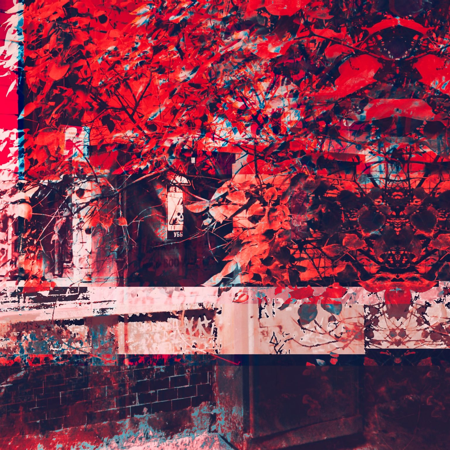 Иконка канала Кайкэн/Кибоку