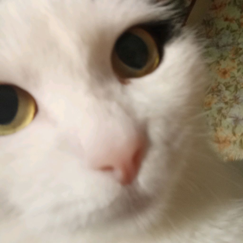 Иконка канала Liza#