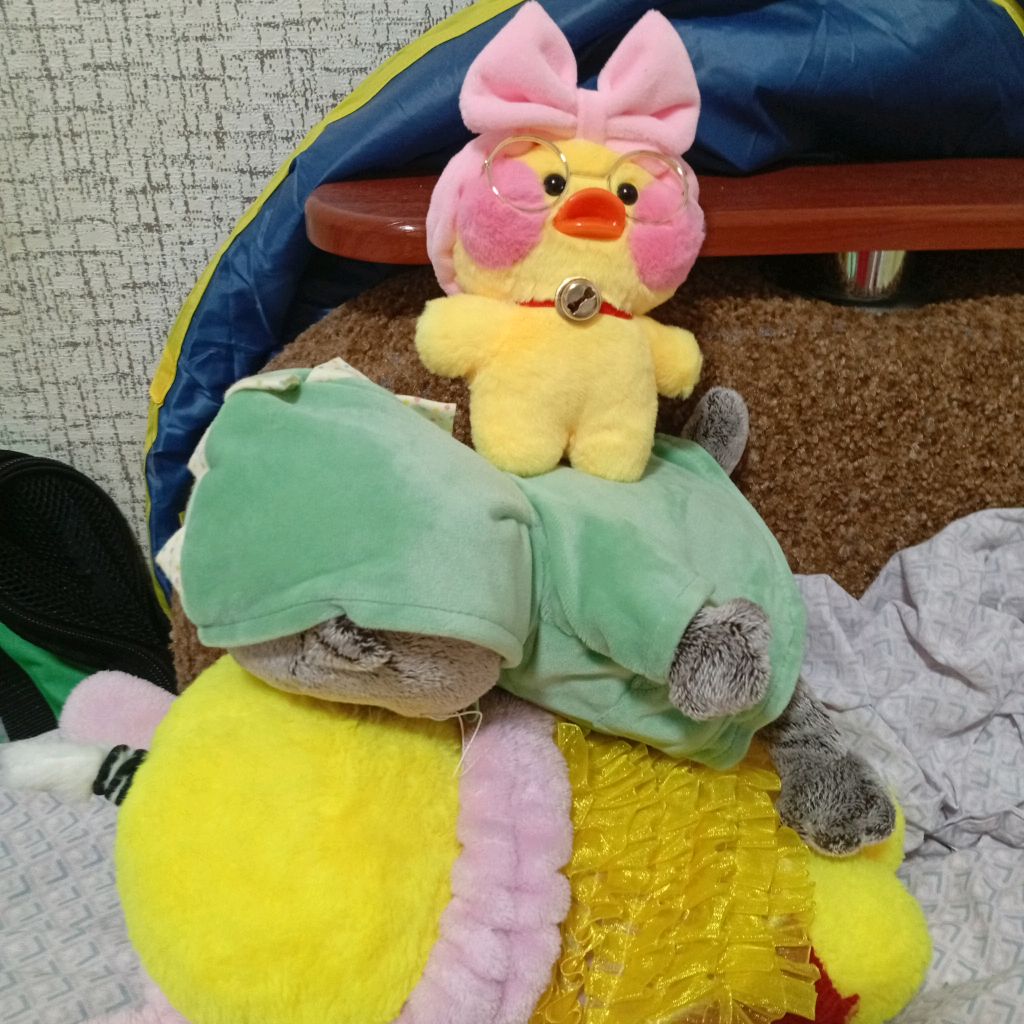 Иконка канала Соня и семья драконов