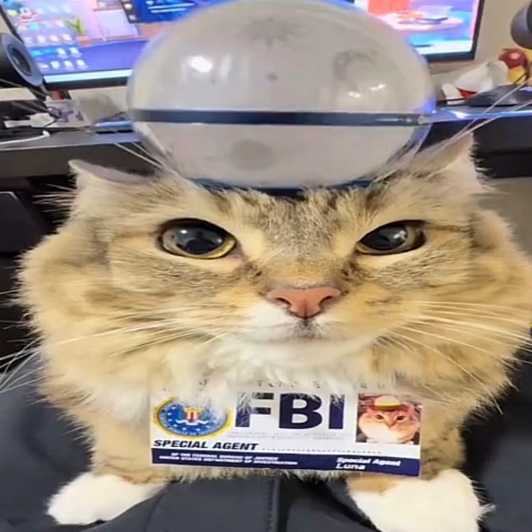 Иконка канала Meow Meow ^-^