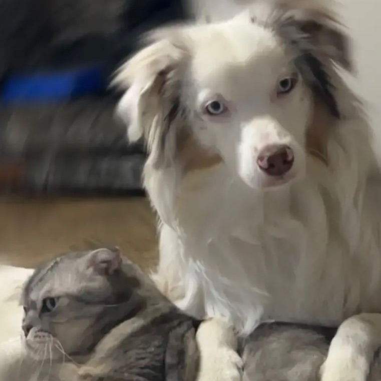 Иконка канала Мини Деми