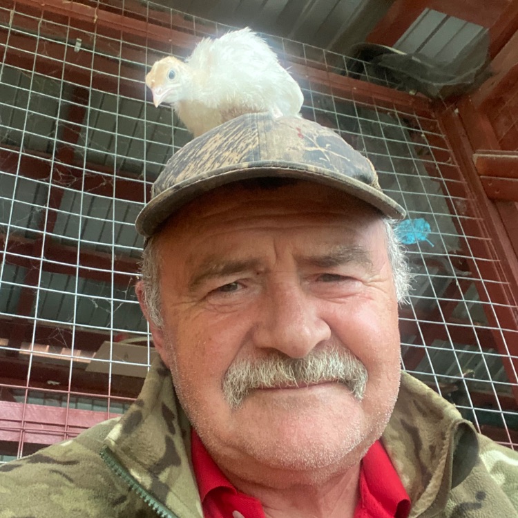 Иконка канала Александр Пресняков