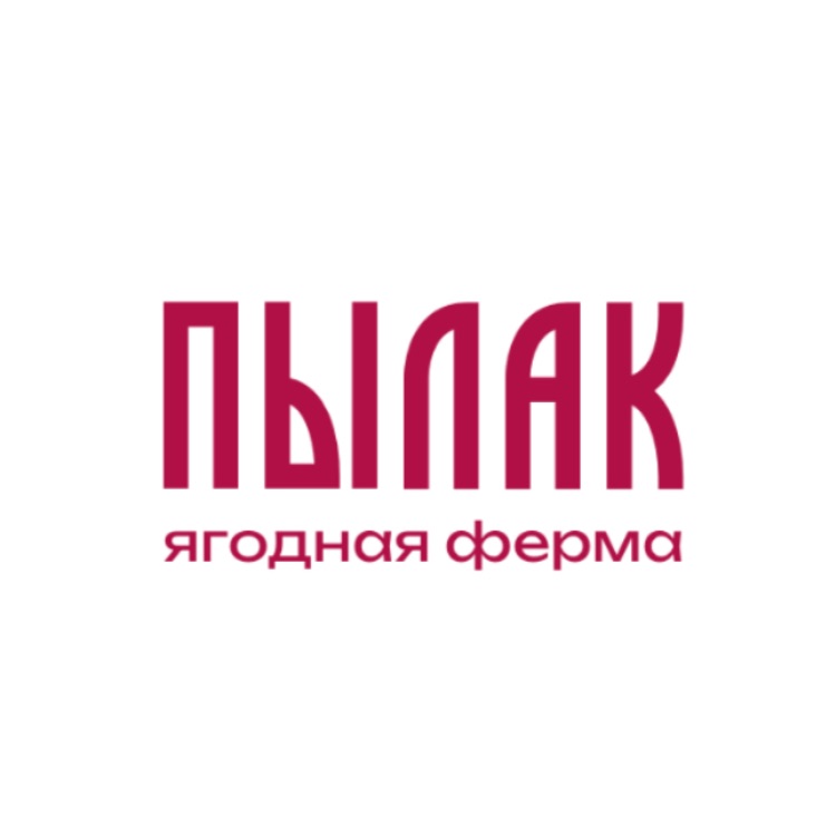 Иконка канала ПЫЛАК | Саженцы и Малина