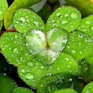 Иконка канала ASMR АСМР Эмбиент Ambience