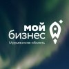 Иконка канала Мой бизнес Мурманская область