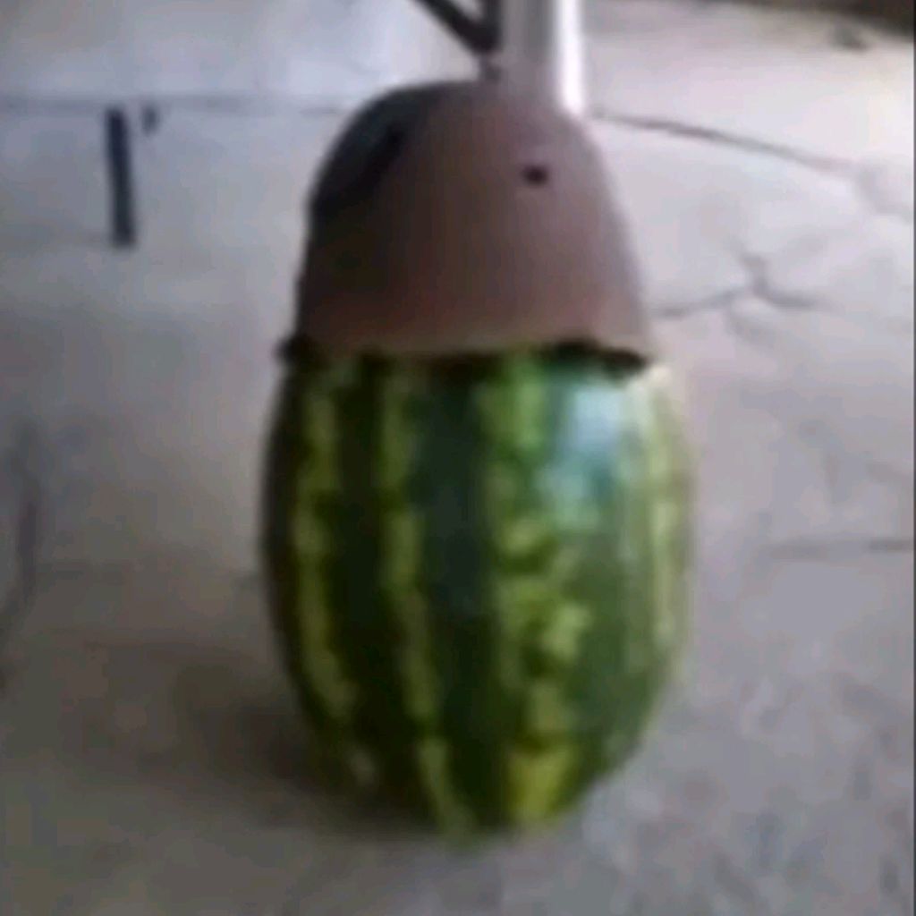 Иконка канала АРБУЗ The Inceel