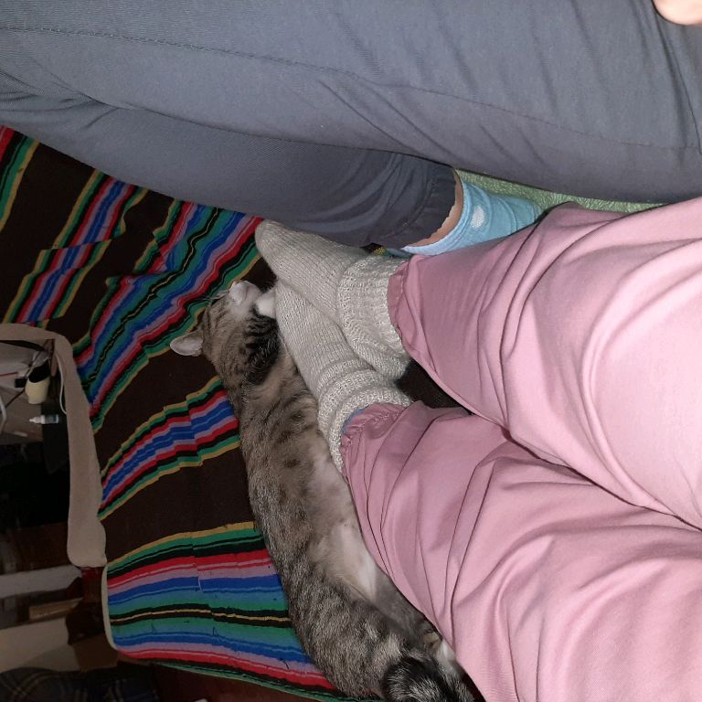 Иконка канала МОЯ ПРОСТАЯ ЖИЗНЬ