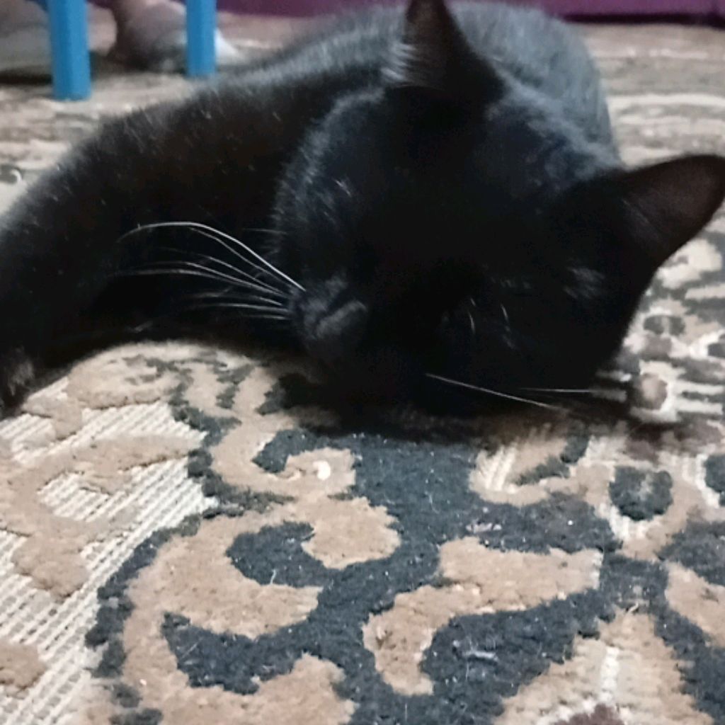 Иконка канала Софа играет