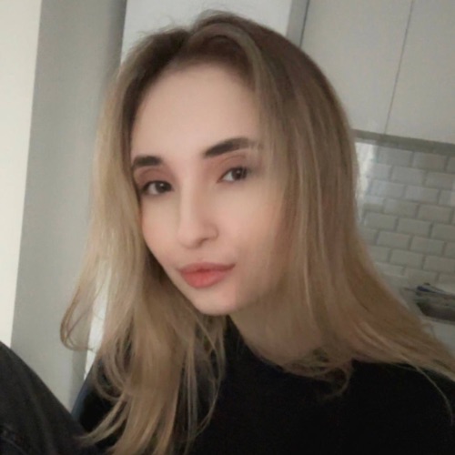Иконка канала DinaSit