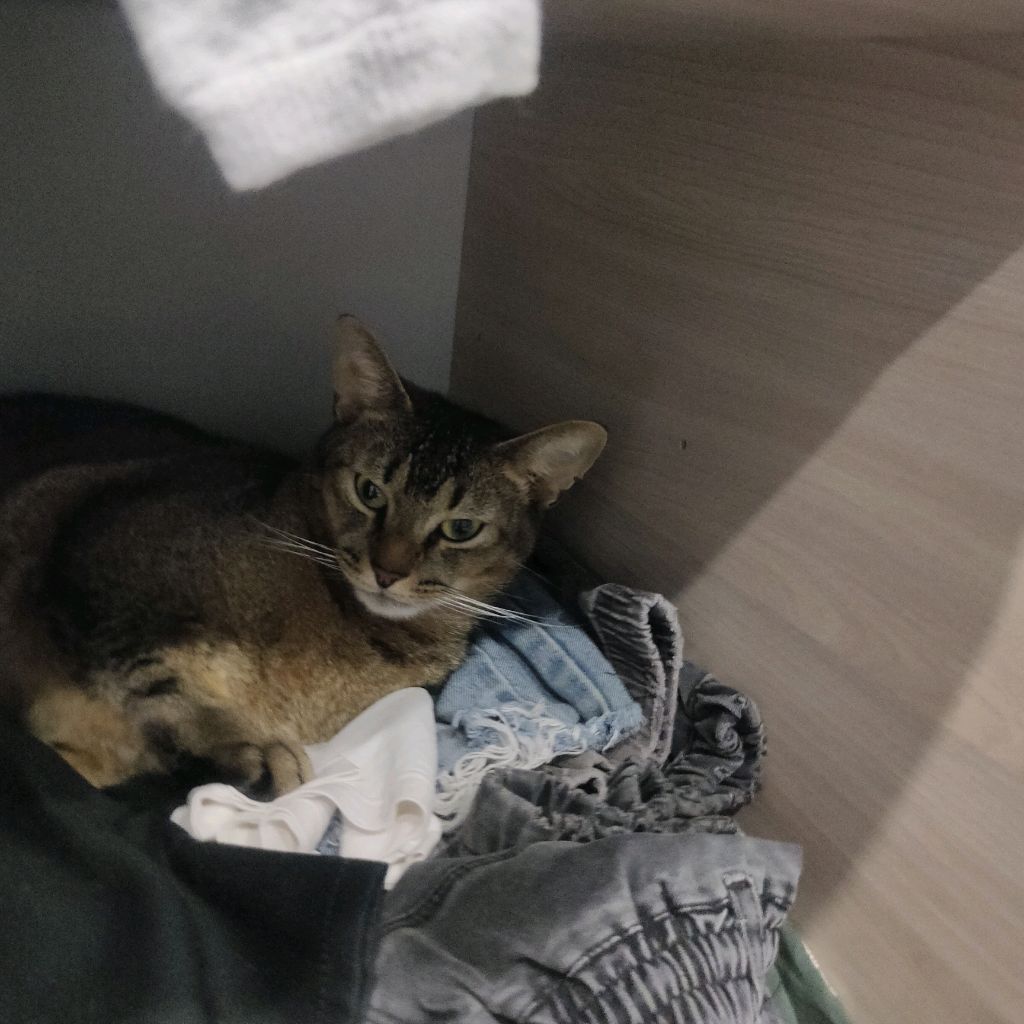 Иконка канала Minecraft Ми