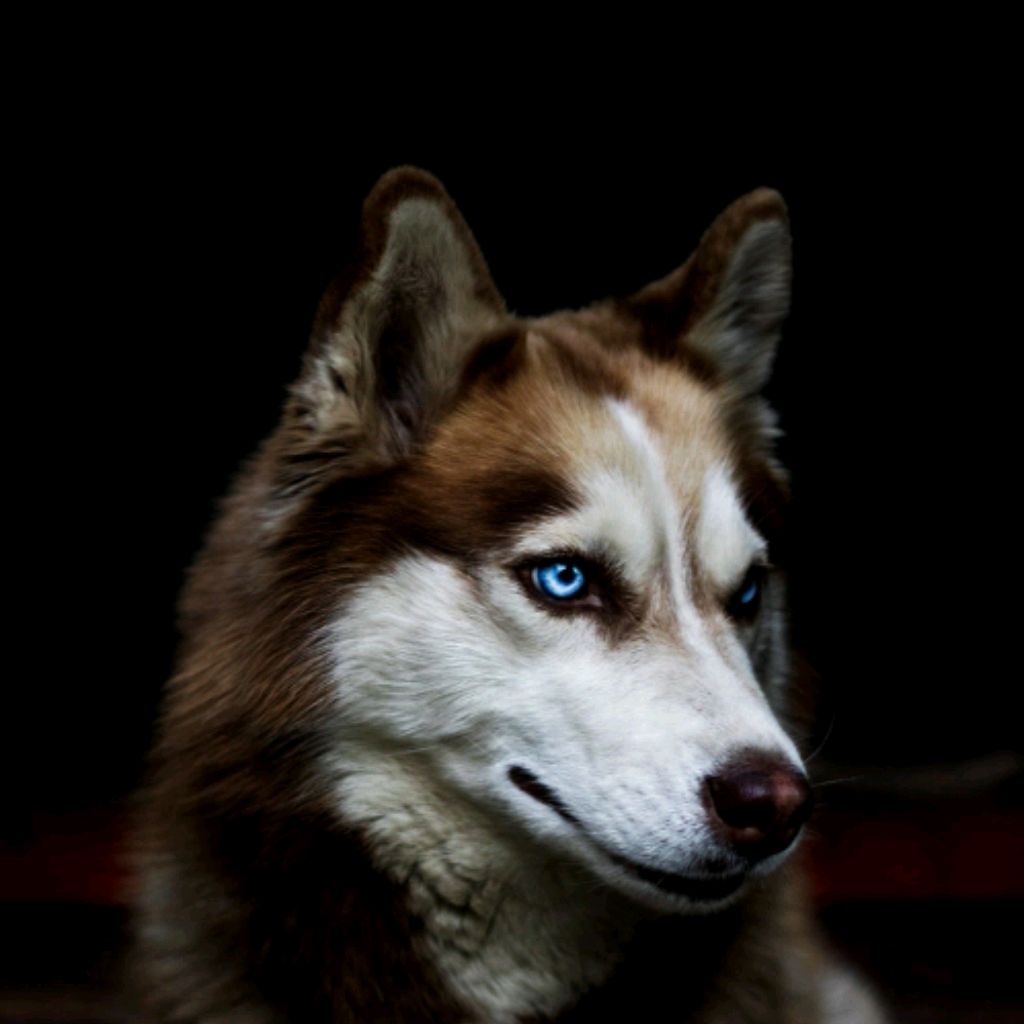 Иконка канала Илюха  В Шкале Игр