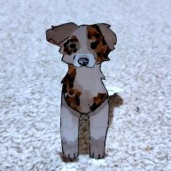 Иконка канала Barking.Dog