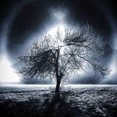 Иконка канала 𝕭𝖔𝖌