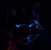 Иконка канала BlackFox