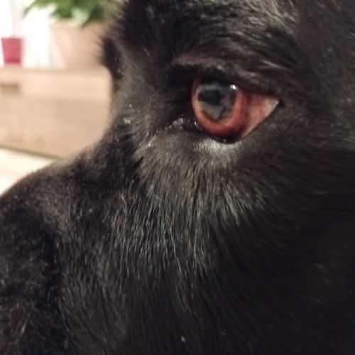 Иконка канала channel76494349