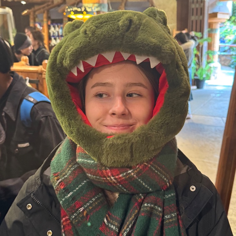 Иконка канала Verchan