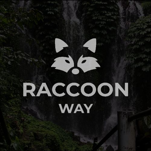 Иконка канала Raccoon Way