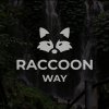 Иконка канала Raccoon Way
