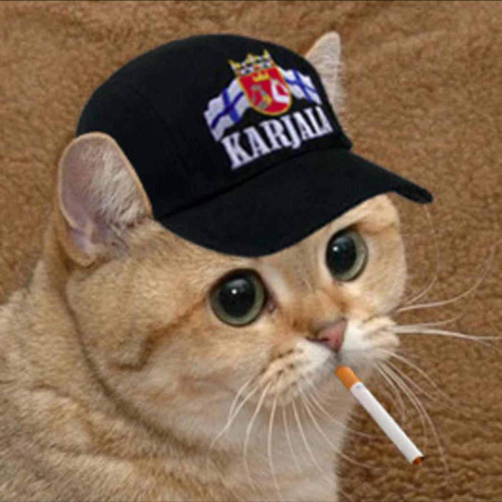 Иконка канала Брунькин