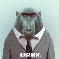 Иконка канала RASDORE