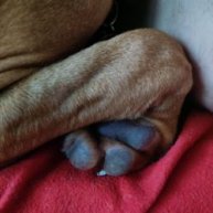 Иконка канала Вэри импортант пёсон