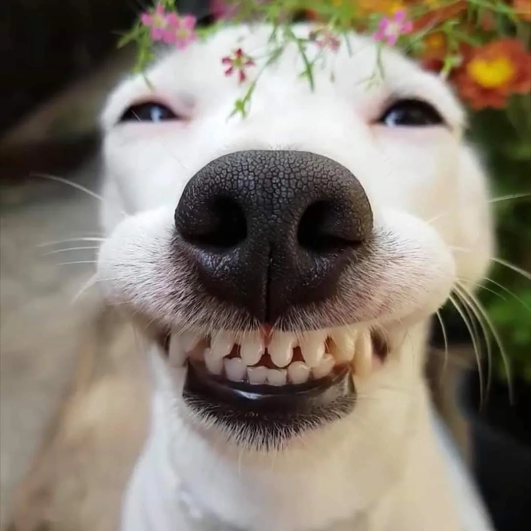 Иконка канала КОСТЯ ДАНЯ И ДРУГ