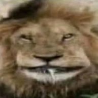 Иконка канала Volda volana