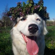 Иконка канала ищу своего жадину, который не отдаст меня никому