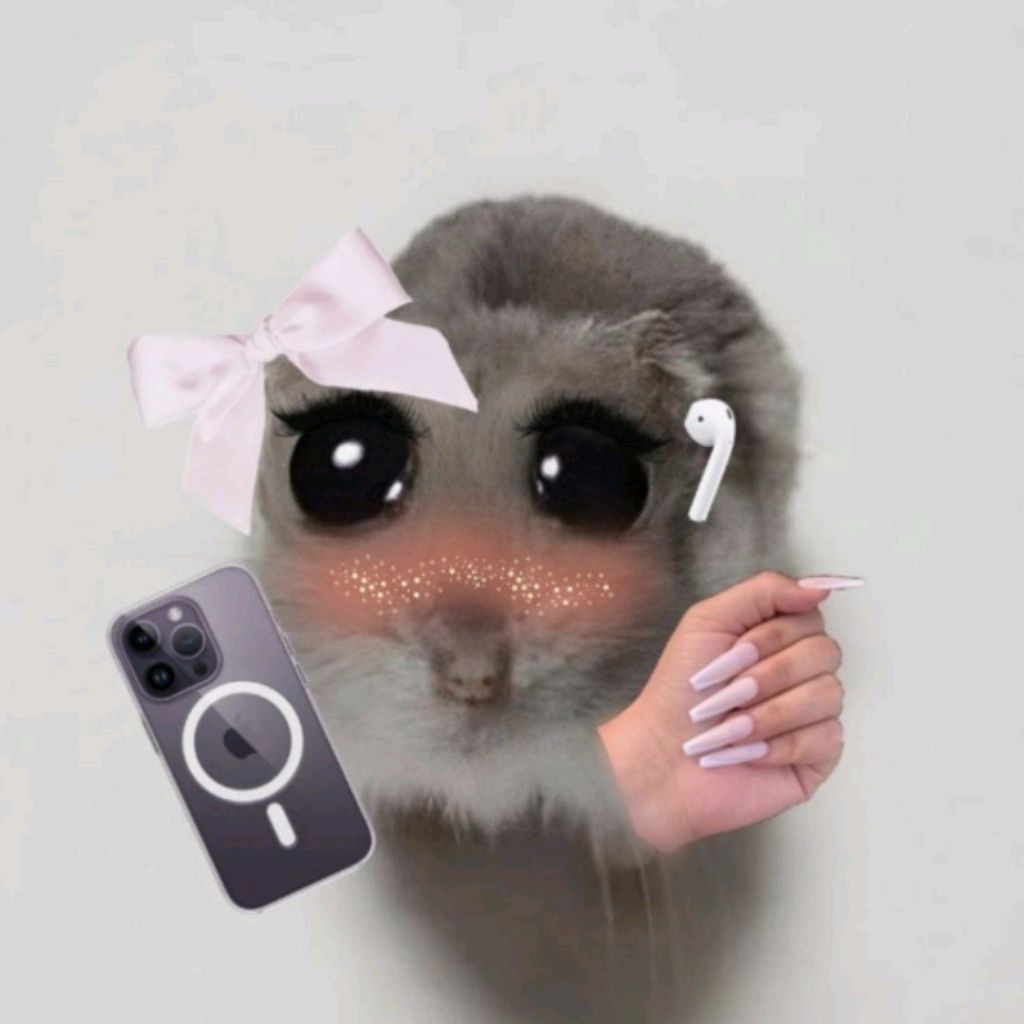 Иконка канала 🪻🤍хомчик🐹