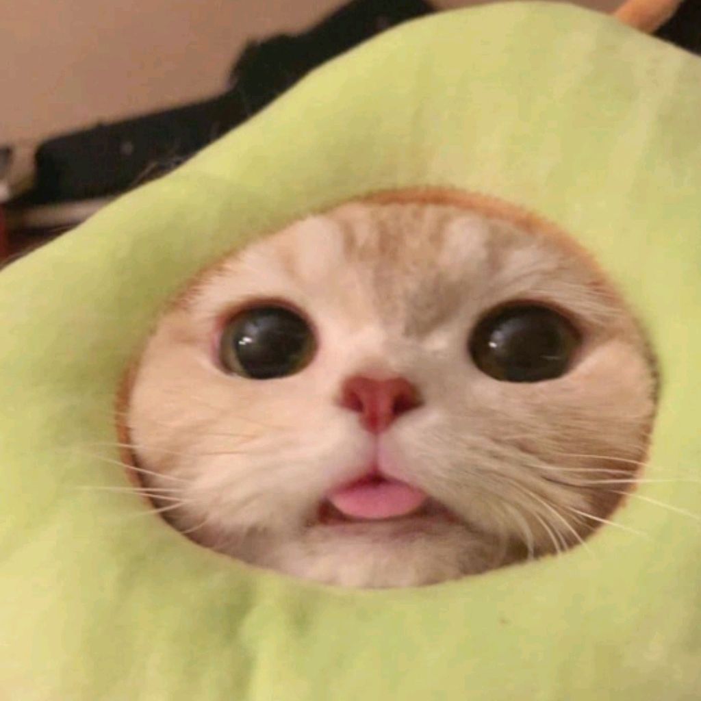 Иконка канала ★котик★