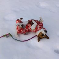 Иконка канала Zhirondairllota