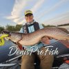 Иконка канала DenisProFish86