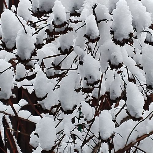 Иконка канала Артём