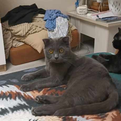 Иконка канала Артём