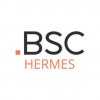 Иконка канала BSC Digital Hermes