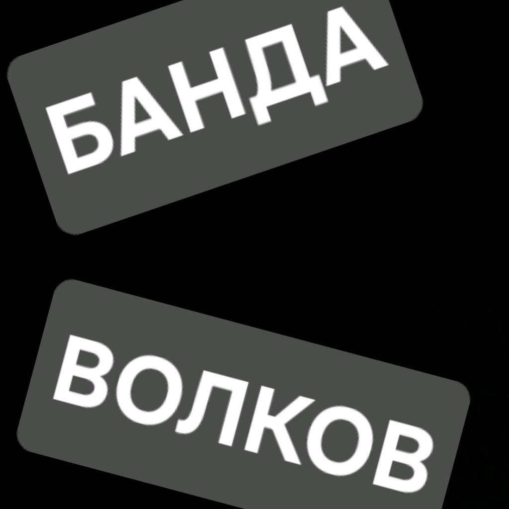 Иконка канала ВОЛКИ