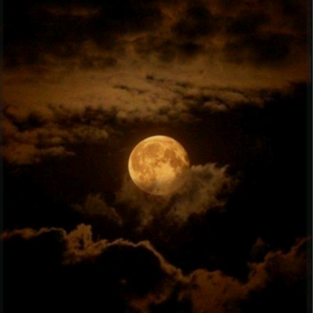 Иконка канала Даринка