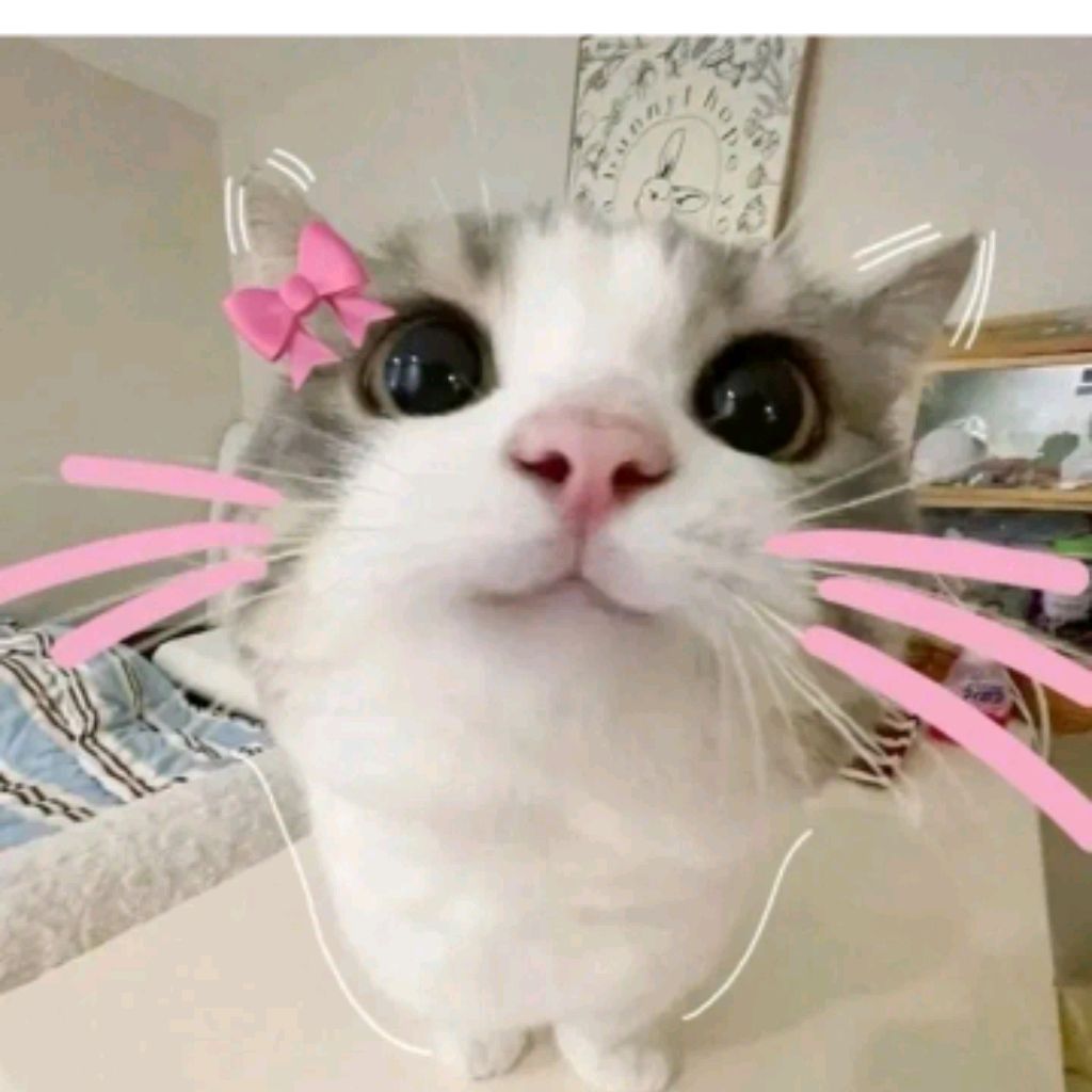 Иконка канала Если Нравится Заходи