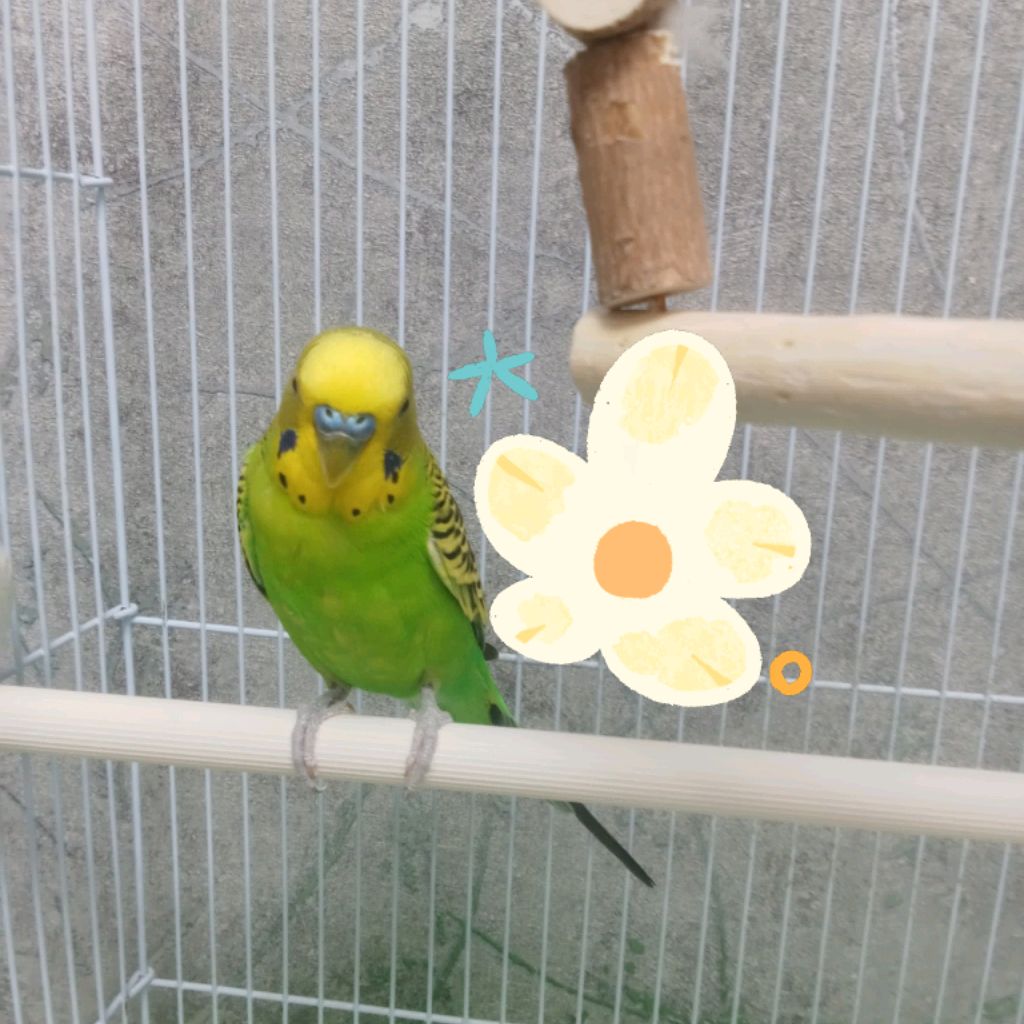 Иконка канала Кеша Play