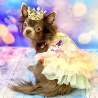 Иконка канала Грейс Чихуа