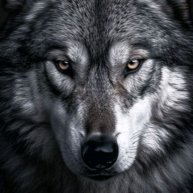 Иконка канала channel28134781